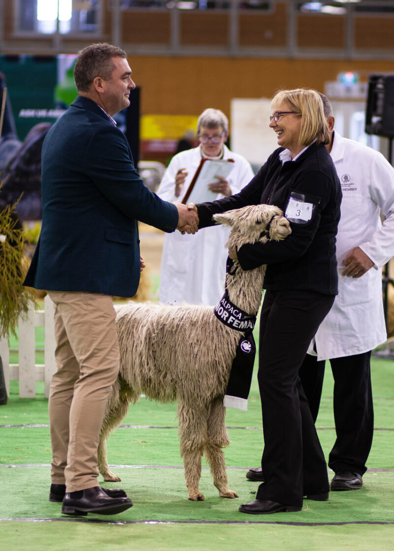 Showing - Alpaca Association New Zealand
