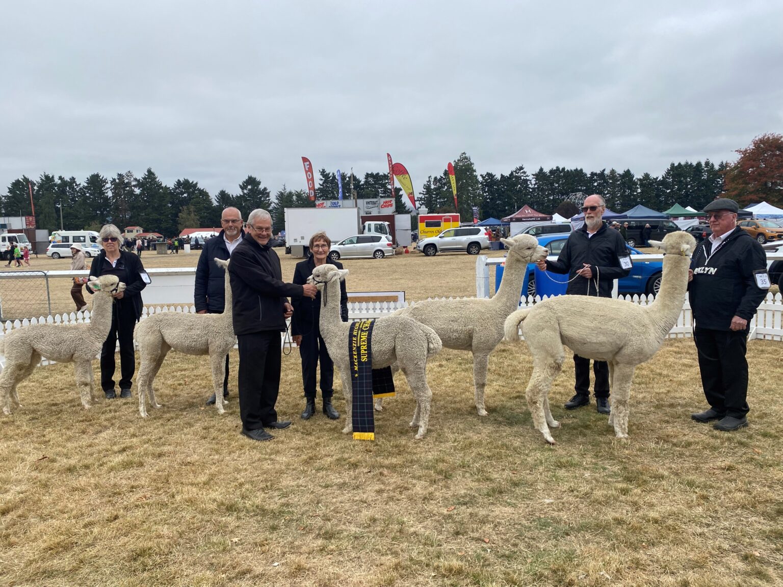 Alpaca Association of New Zealand